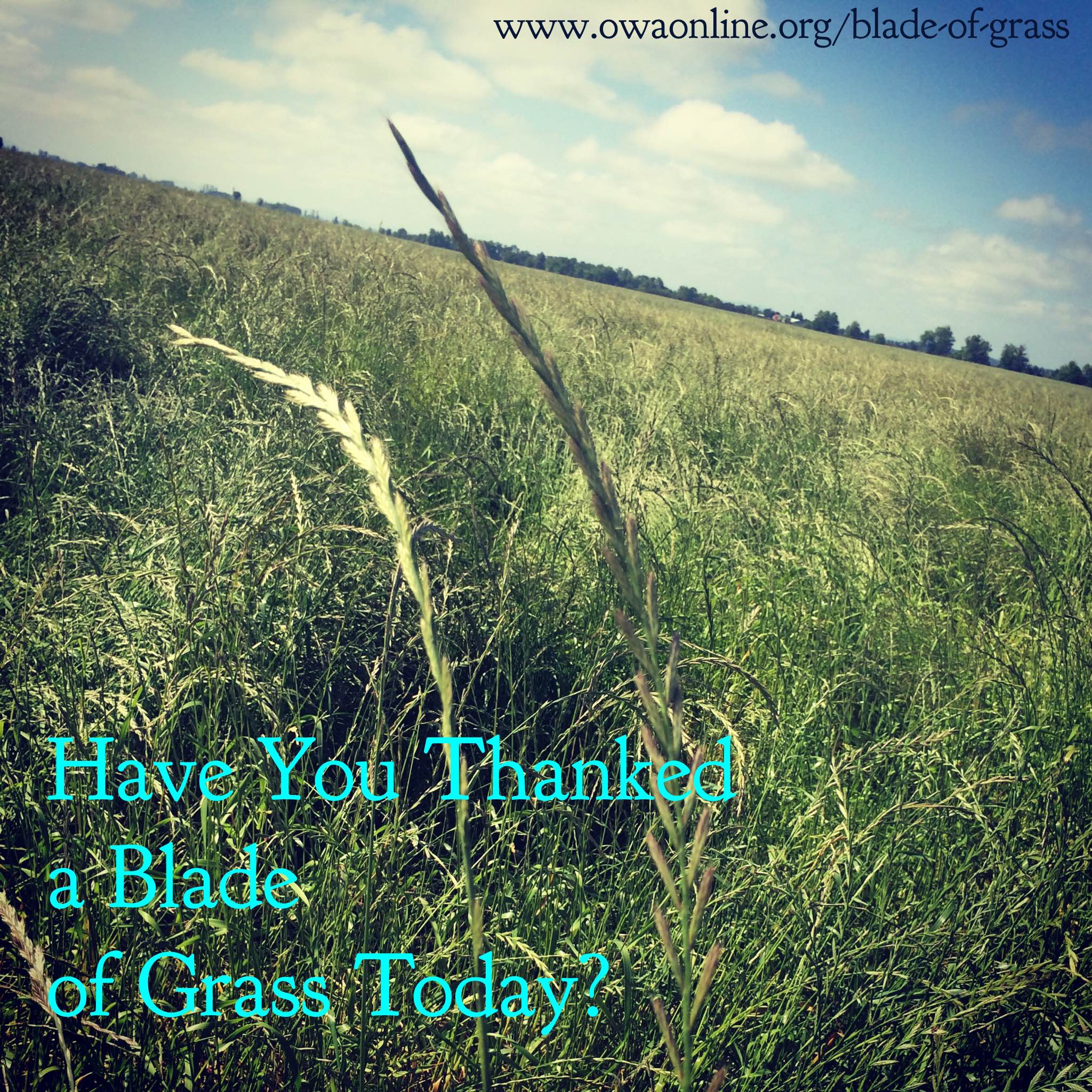 "Have You Thanked a Blade of Grass Today?" - Oregon Women for Agriculture