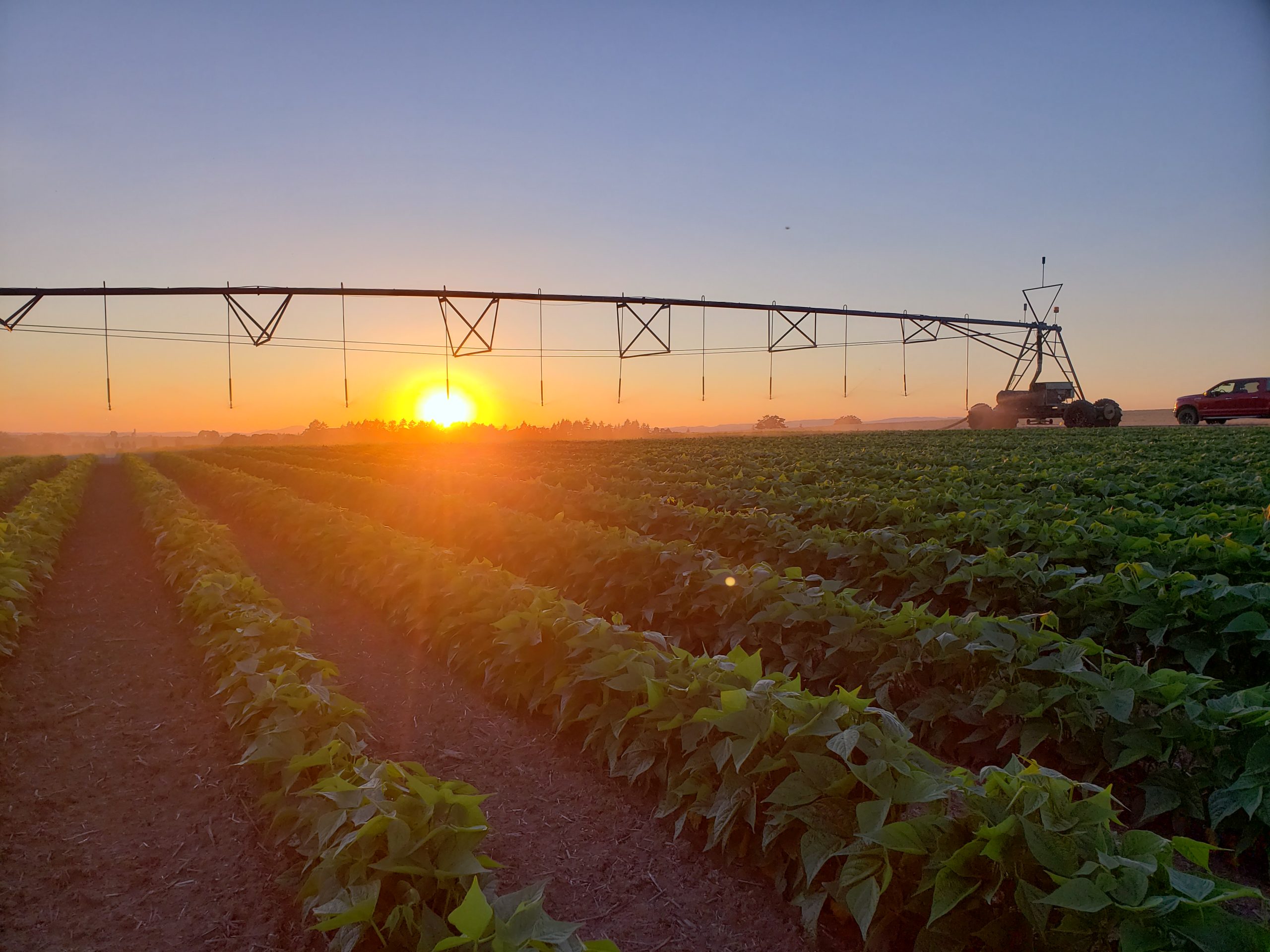 Home - Oregon Women for Agriculture